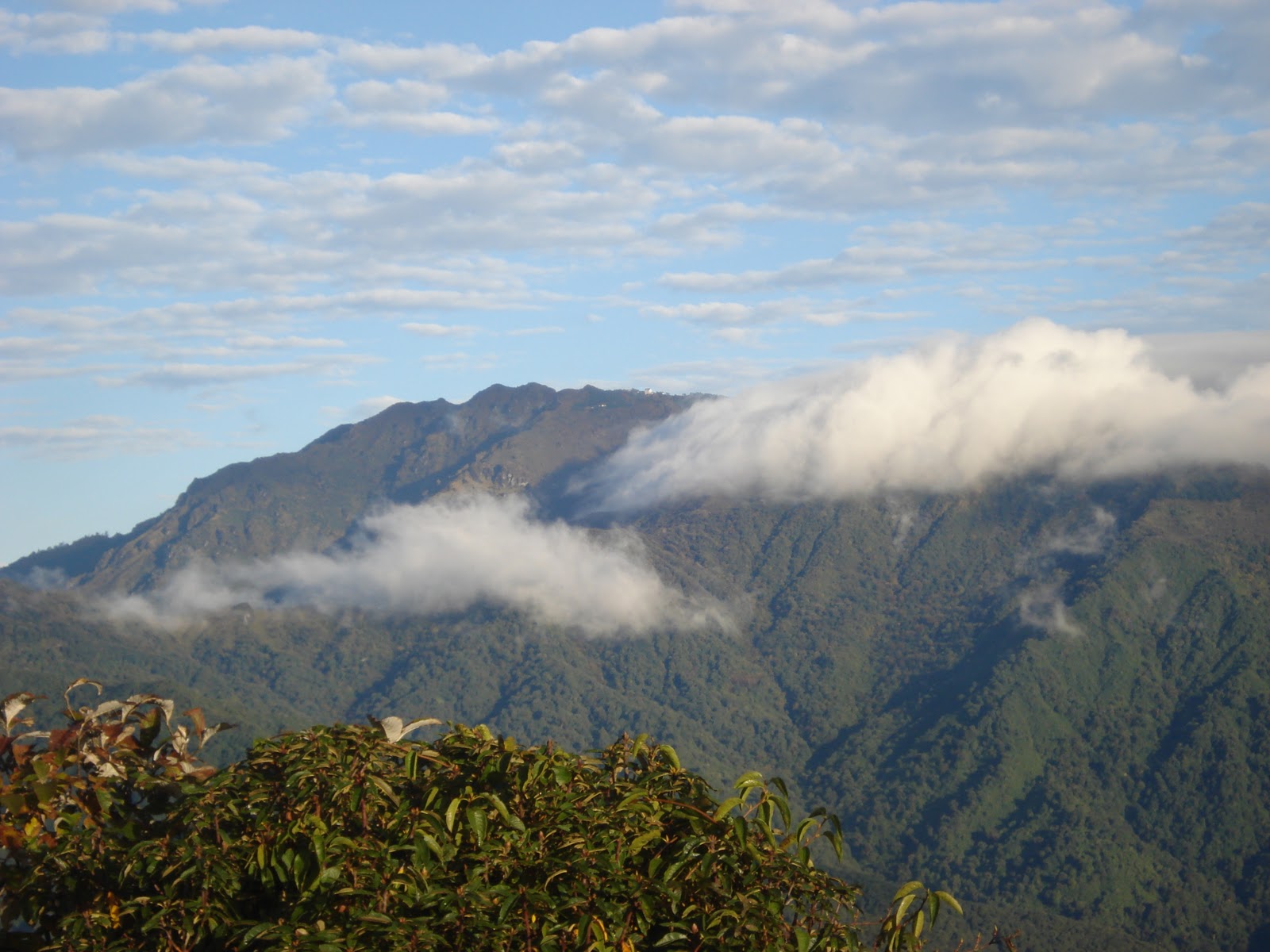 Online Article: Sandakphu Trekking with photos [Manebhanjan -> Tumling ...