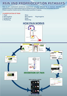 Oral Medicine and Radio-Diagnosis" THE OMR CAFE": Dental Pain and ...