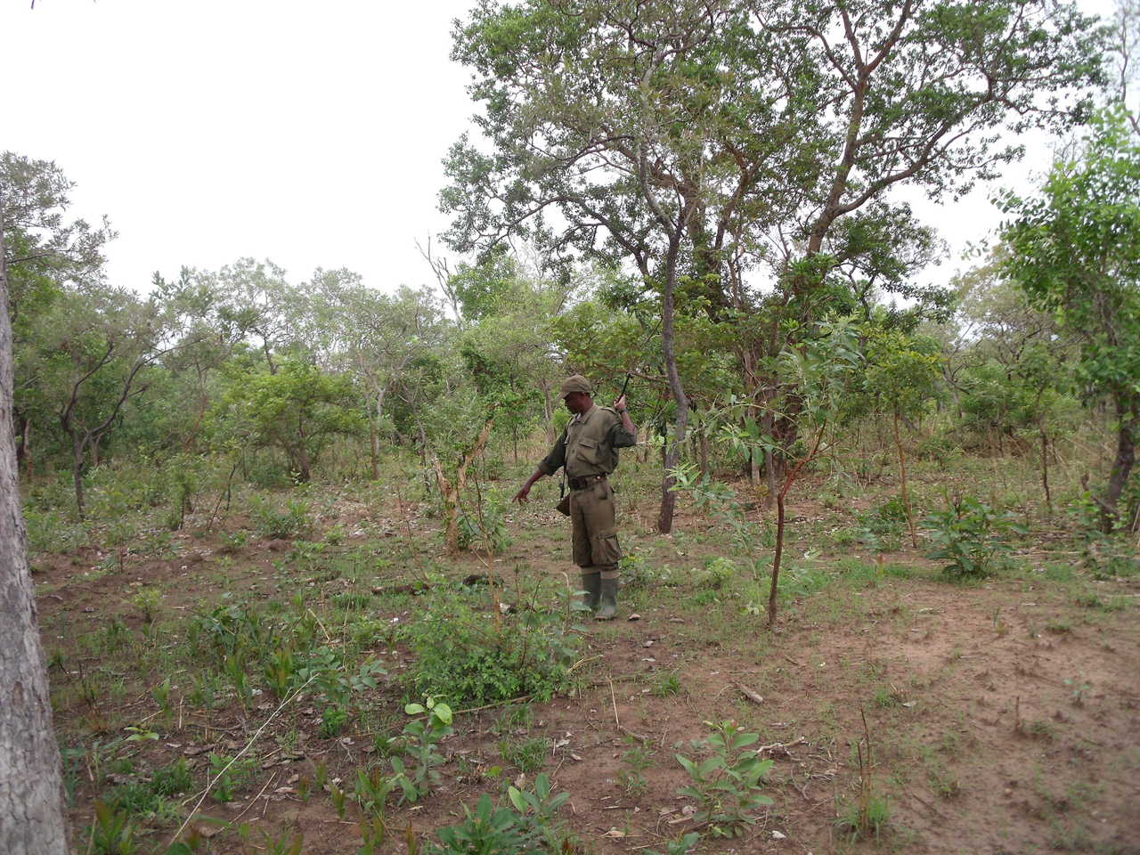 Karen and Ama visit Ghana: Fire (Mole) National Park