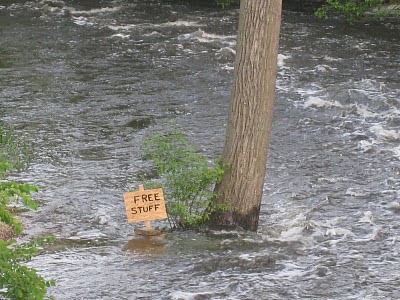 Erratic Words: Funny/Fail Signs
