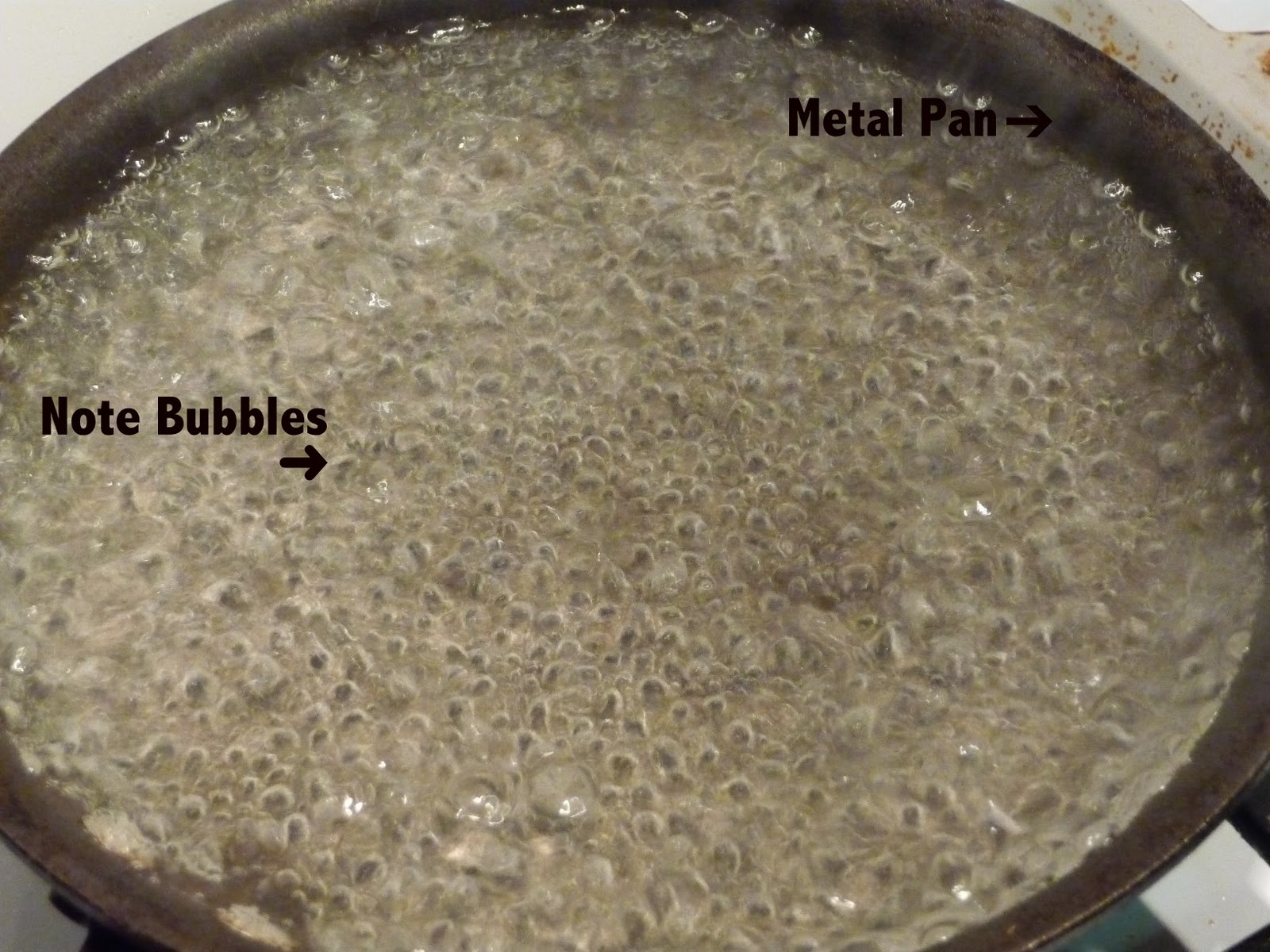 Pete Hautman says...: Perfect Boiled Water