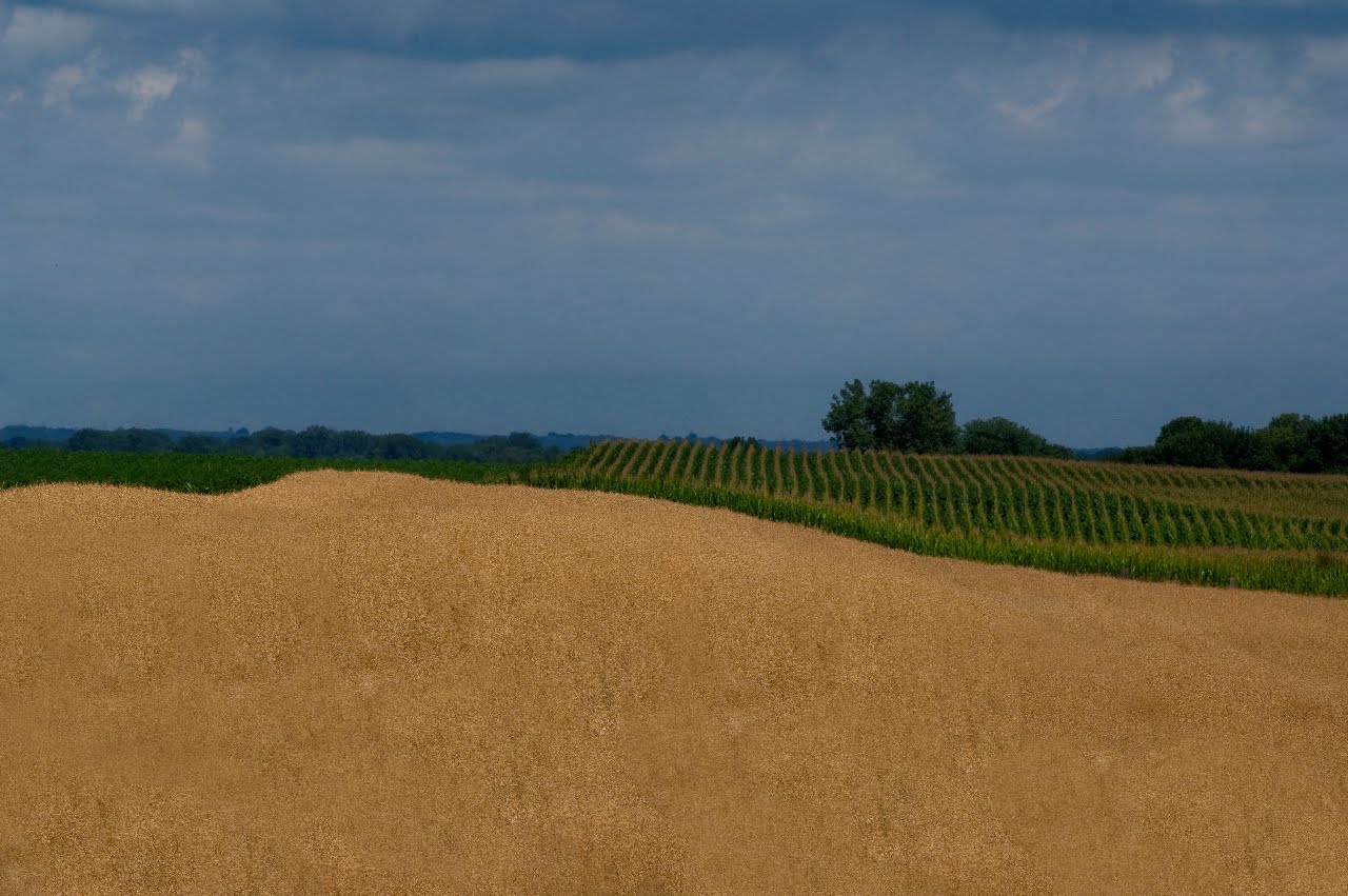 Bailey's Buddy: The Fruited Plains of Iowa - Photos by Bob Kelly