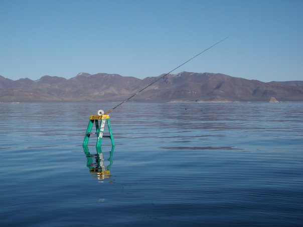 Foot Pursuit Fly Fishing: Step Ladder Bonefish
