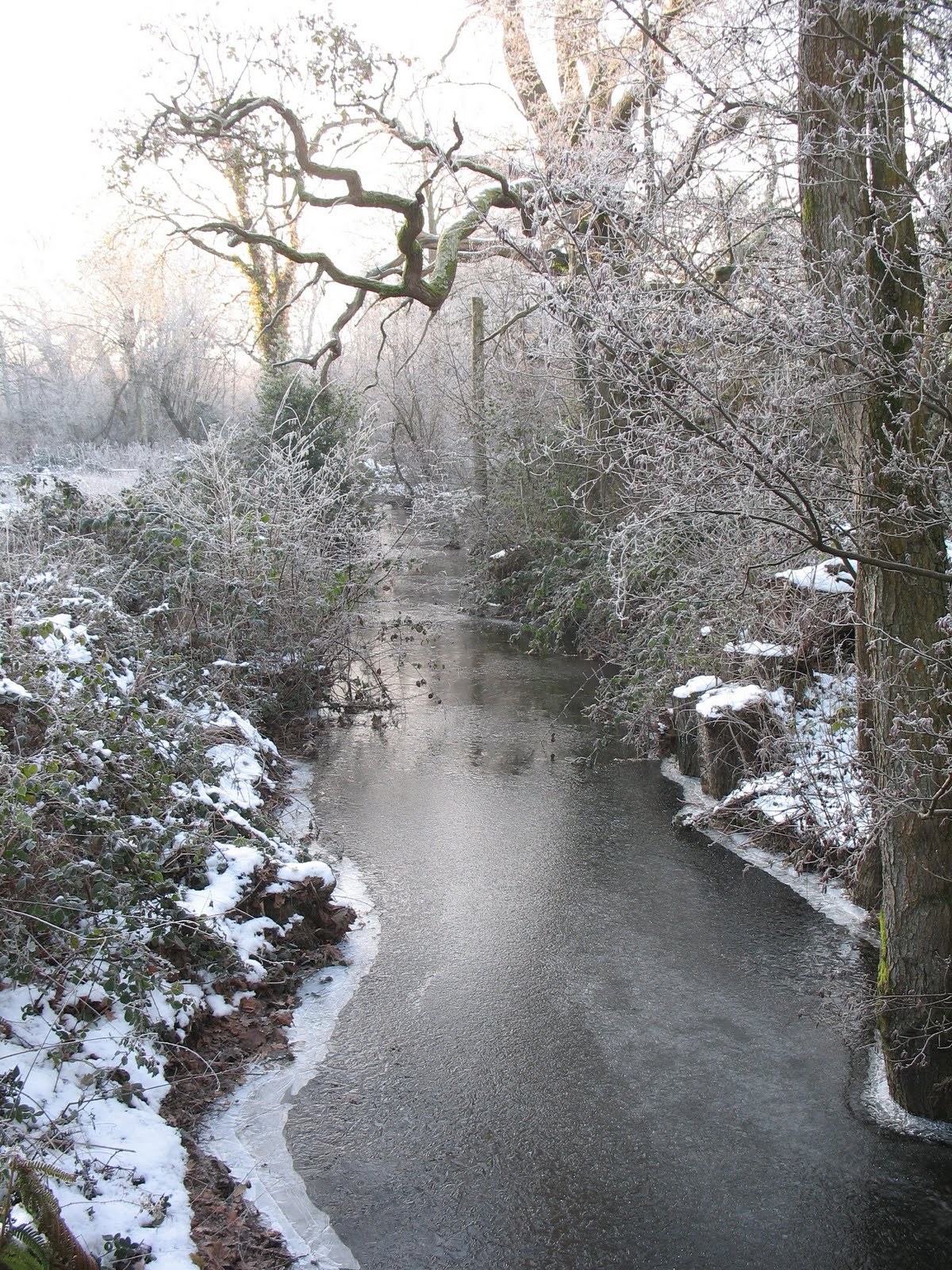Blashford Lakes Wildlife Reserve: December 2010