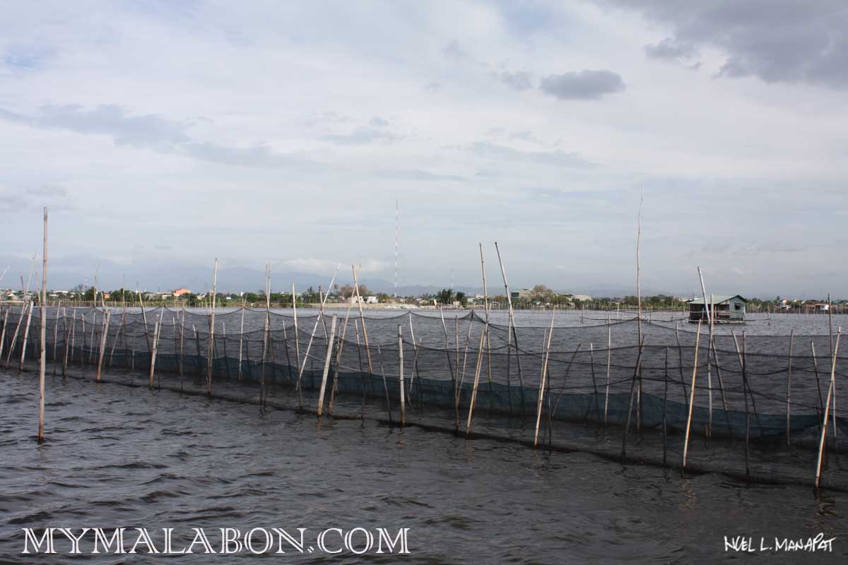 My Malabon: A uniquely Malabon resort - Villa Vicencio Garden Resort