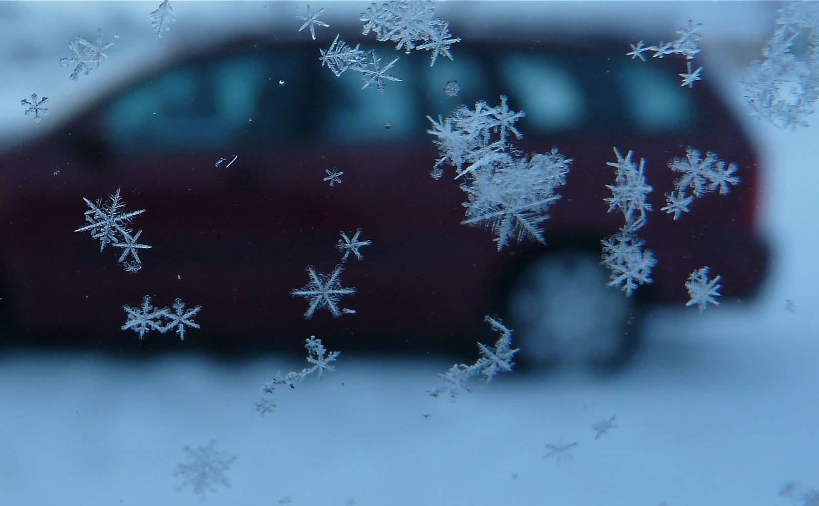 il nostro nord del mondo: A grande richiesta: cristalli di neve