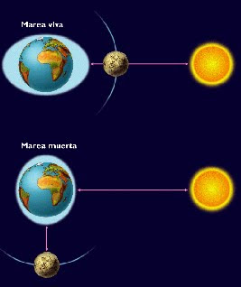 sandriitaa: Marea viva y marea muerta