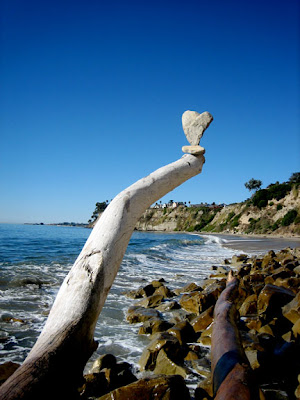 Rock Balance Blog: heart shaped rock on tree