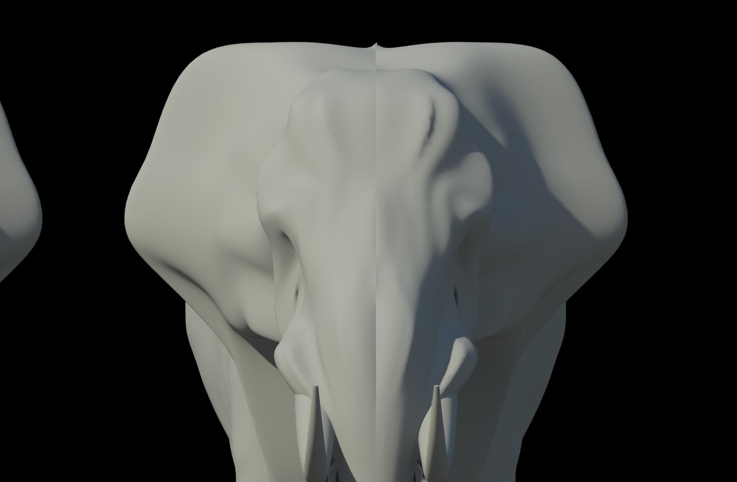 The Elephant in the room