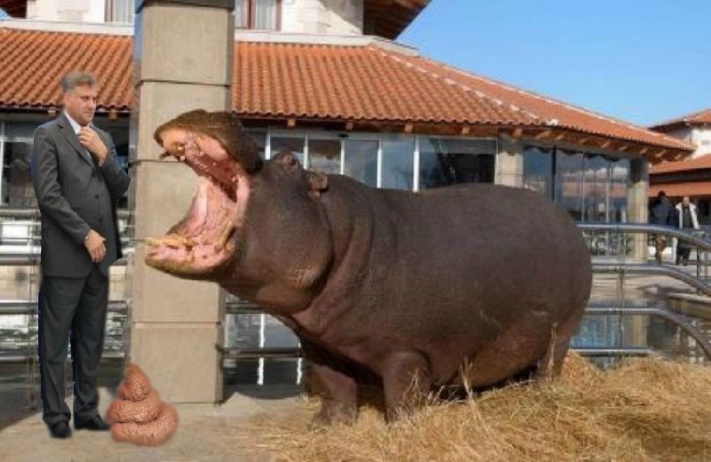 Okacio facit furem: NAPOKON OTKRIVEN KRIVAC MILIJUNSKE ŠTETE NA ...