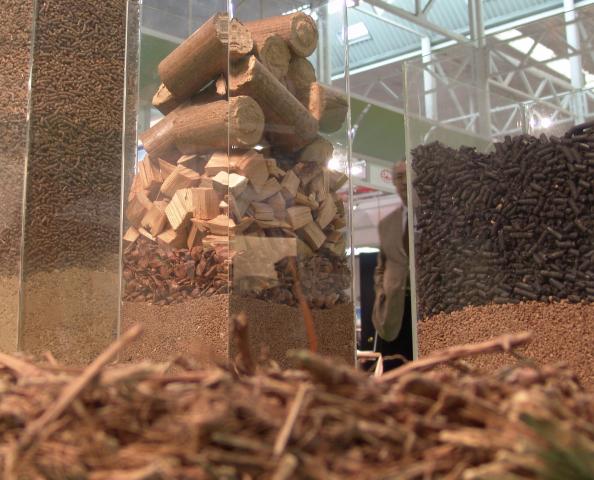 Energias Renováveis: Energia da Biomassa