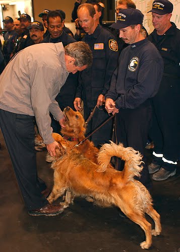 Bark & Clark: Remembering 9-11 Dog Heroes