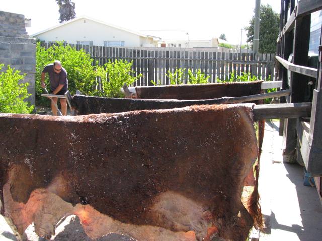 My Journey: BILTONG AND POTROAST DIKDERM