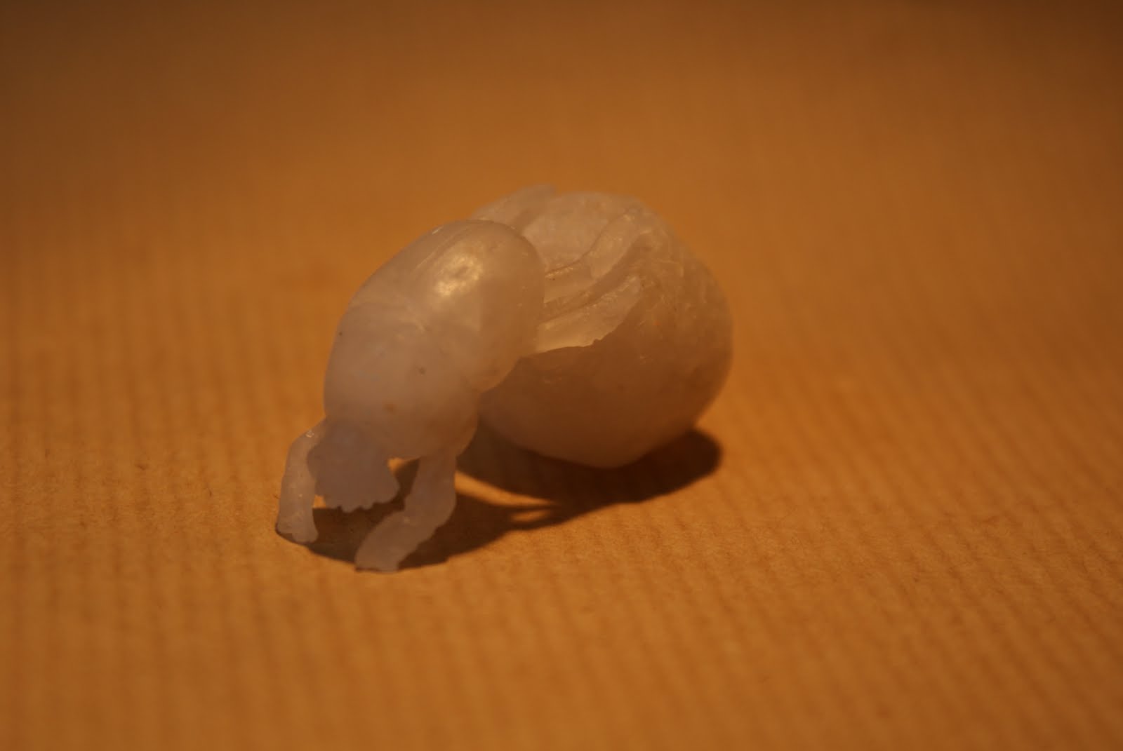 Jigger Flea Animation