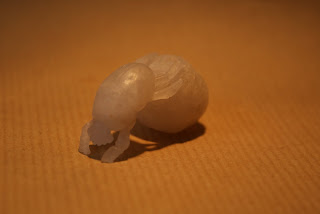 Jigger Flea Animation