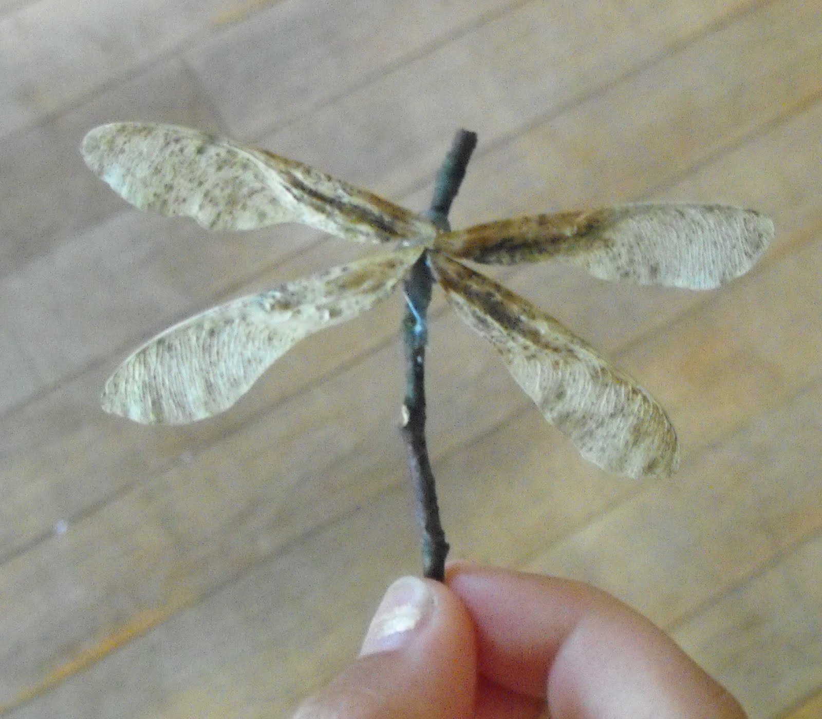 Twig and Toadstool: Delightful Dragonflys...A Twig Craft!