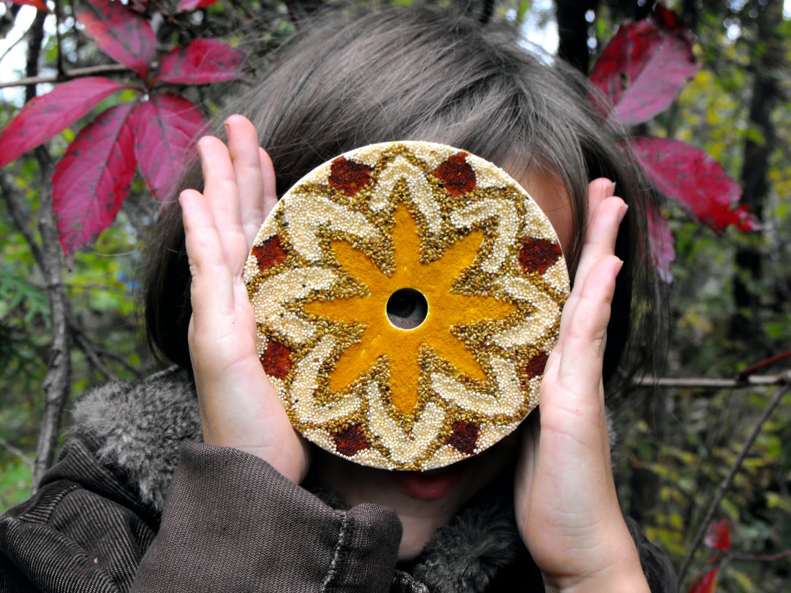 Twig and Toadstool: Seed and Spice Mandala