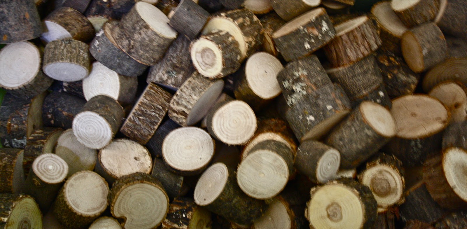 Twig and Toadstool: Tree Blocks!!