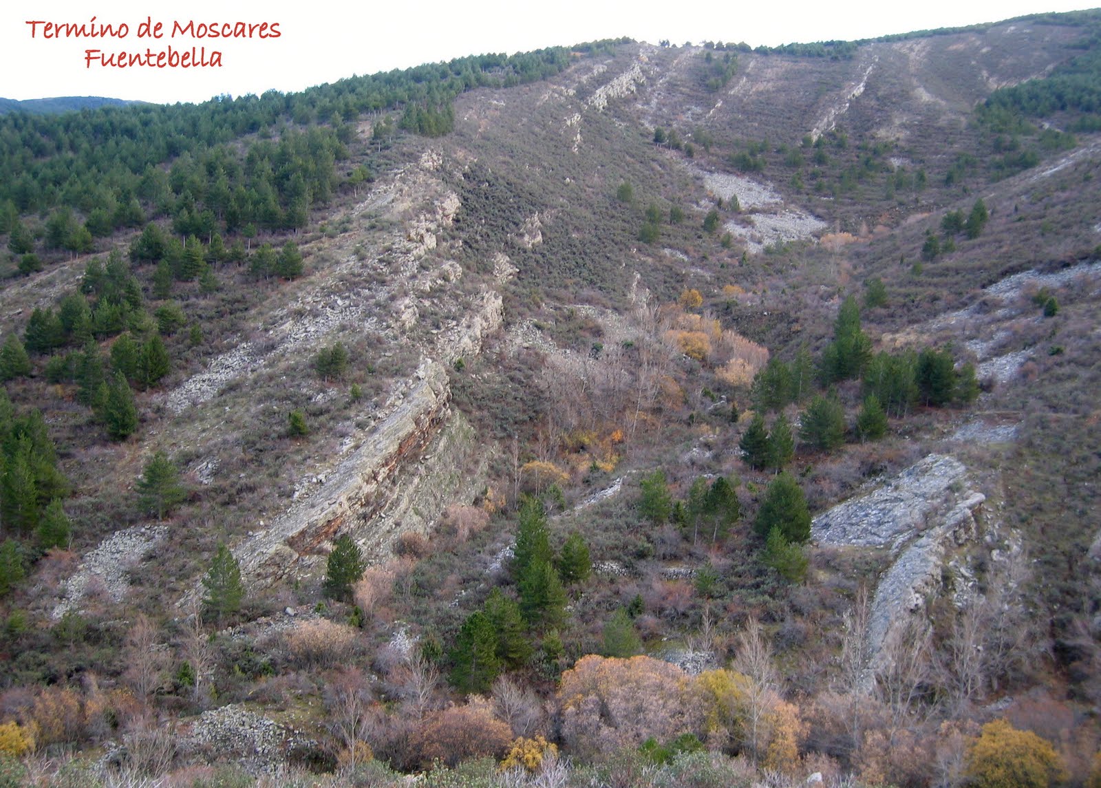 La Vara de la Libertad: Primer viaje a Fuentebella.