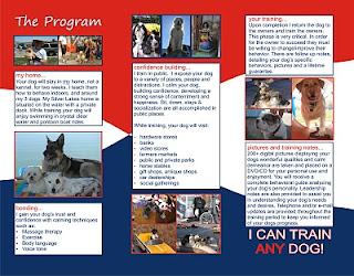 Bella Artista: Good Dog Training - Brochure