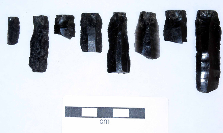 Calixtlahuaca Archaeological Project: Calixtlahuaca Obsidian