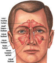 Bietjes Blog: Ziekjes...