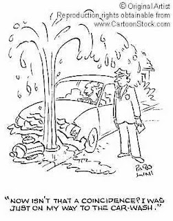 Guelph Automotive Detailing - by Diamond Detailing: Funny Car wash ...
