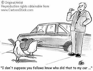 Guelph Automotive Detailing - by Diamond Detailing: Funny Car wash ...