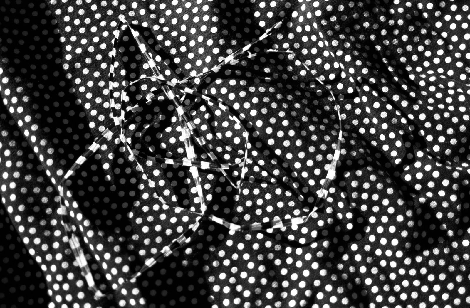 DANA LIGHTBOURNE BECHERT: Static Patterns