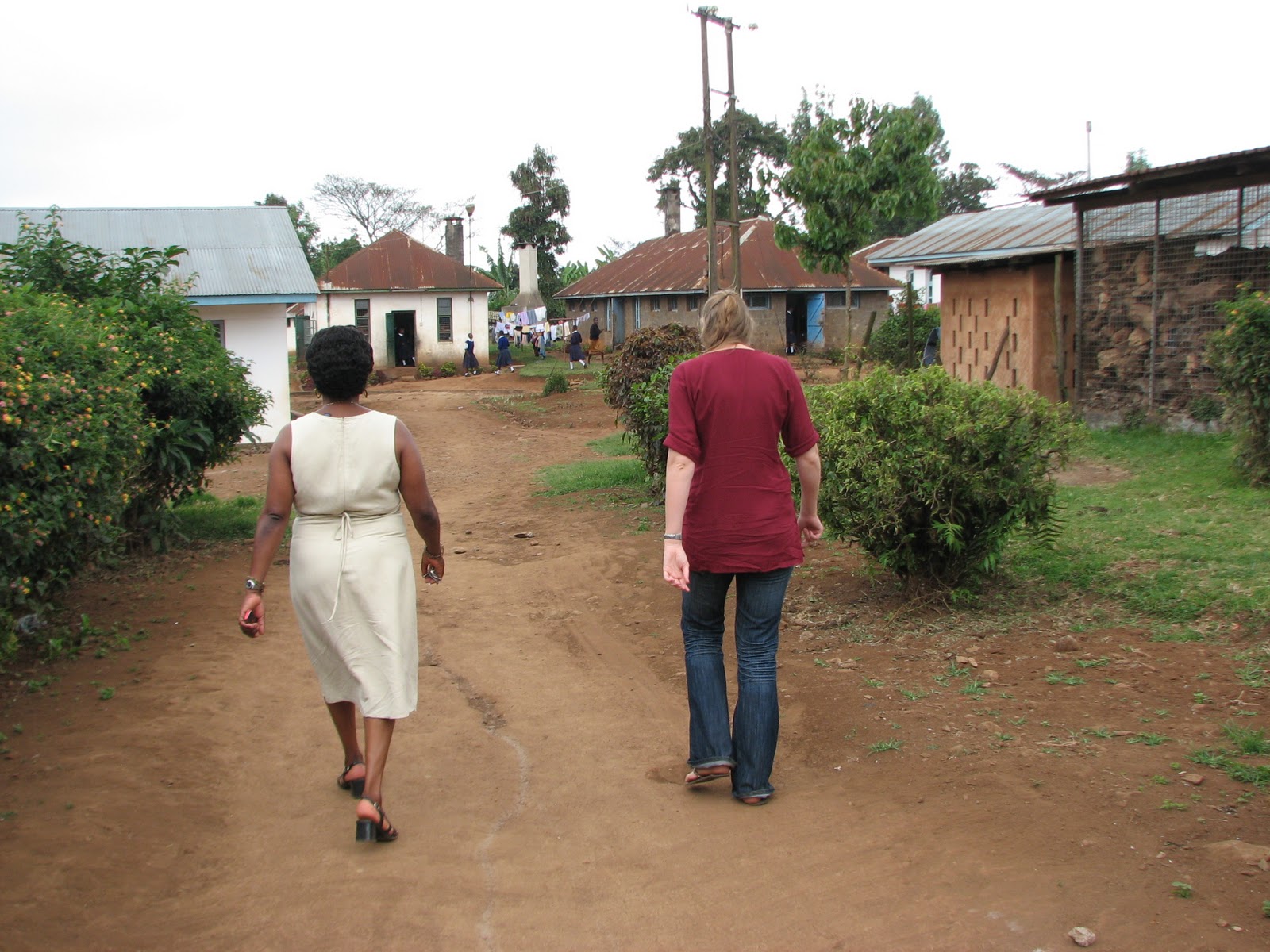 TANZANIA 5.0: Marangu and Machame