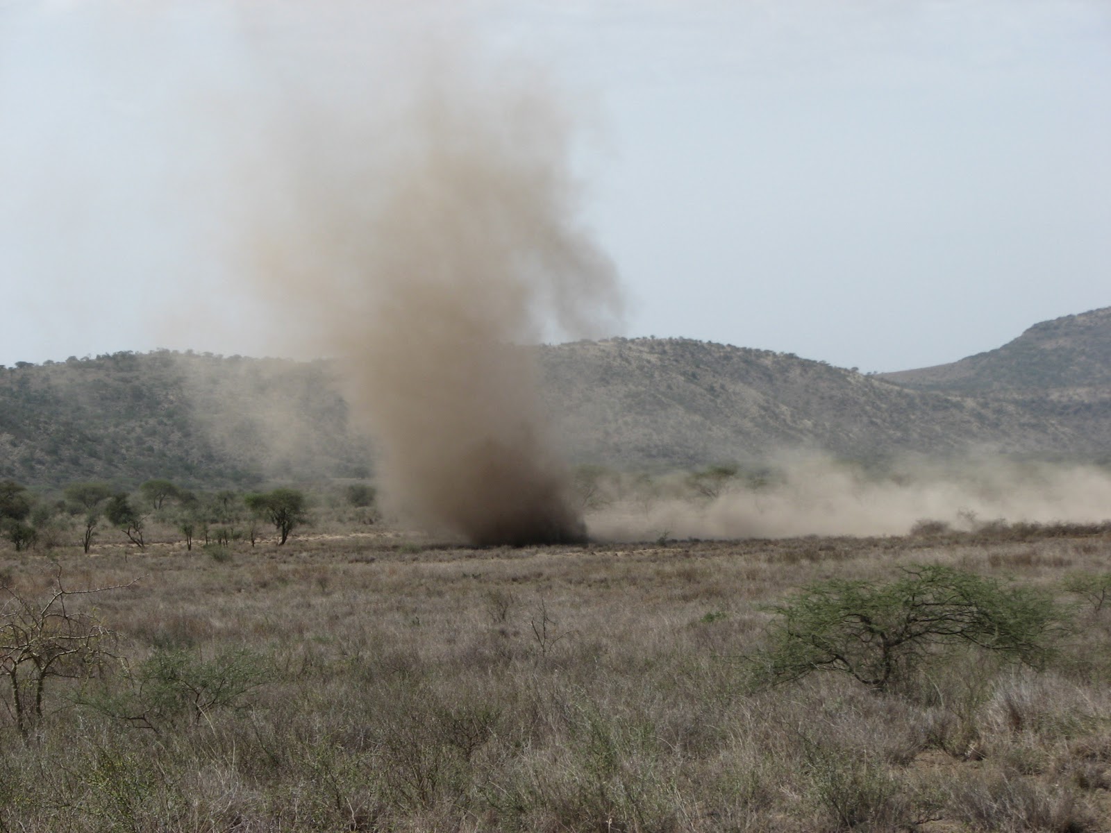 TANZANIA 5.0: Mud or Dust? And Other Pressing Questions