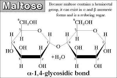 |Maltose viscositytable| :: |euro maltose manufacture website|