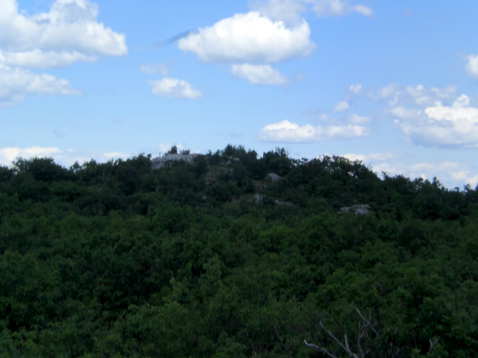 Breakheart Trail Running: Breakheart Hike