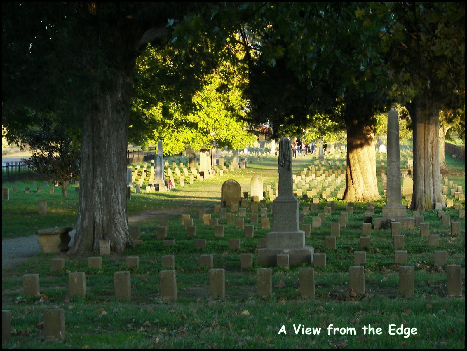 A View from the Edge: Flashback Friday - Carnton Plantation