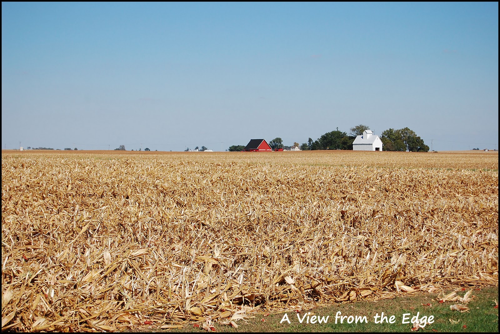A View from the Edge: A day in the life of a farmer - as observed by a ...