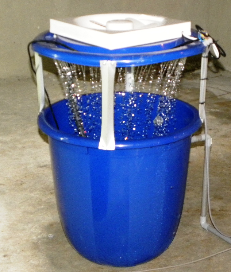 Swiftlet Farming: Million Dollars A Year Income Potential.: Cool Water ...