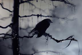 Asatru Serbia: Fylgja