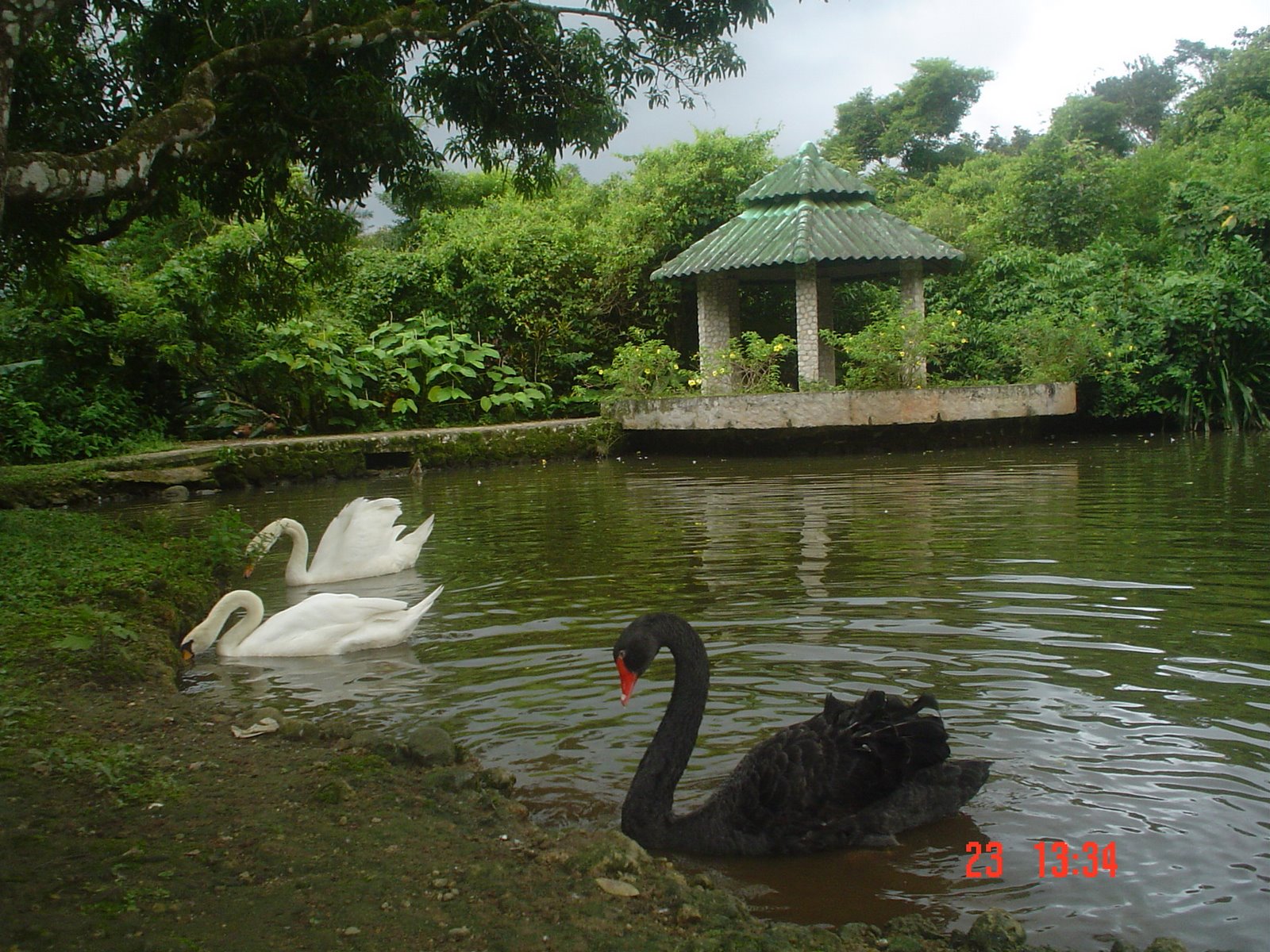 SITIO ARQUEOLÓGICO BARRILES