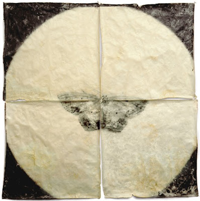 christos vangelopoulos: the starn twins