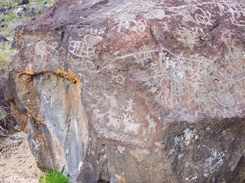 Birding Is Fun!: From Jail Birds to a Life Bird!