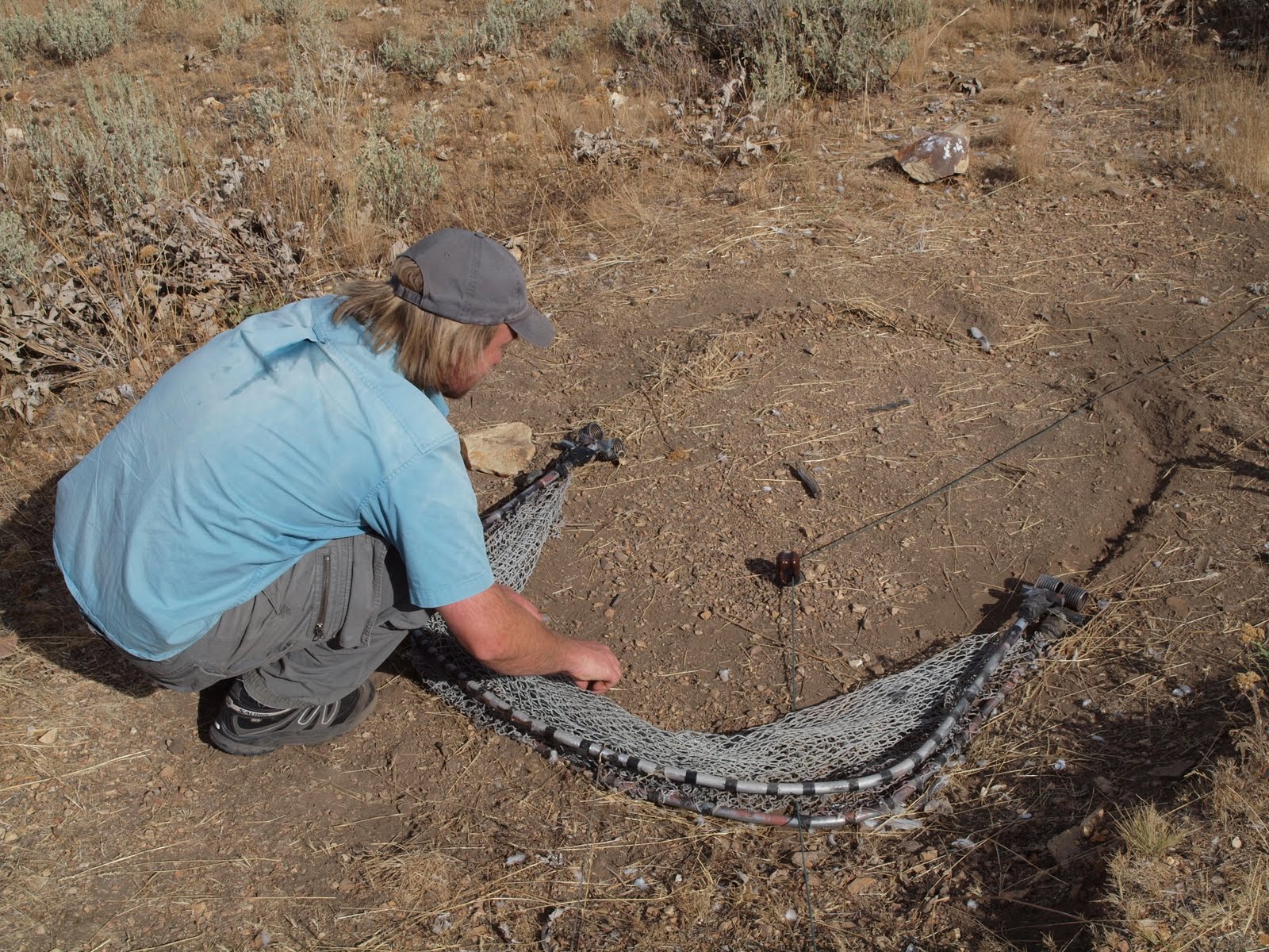 Birding Is Fun!: Idaho Bird Observatory: Part Two - Hawkwatch & Banding