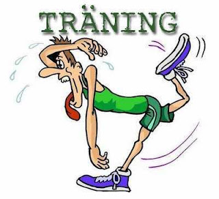 One way to Sweden - Il blog di due italiani in Svezia: Stipendio, tasse ...