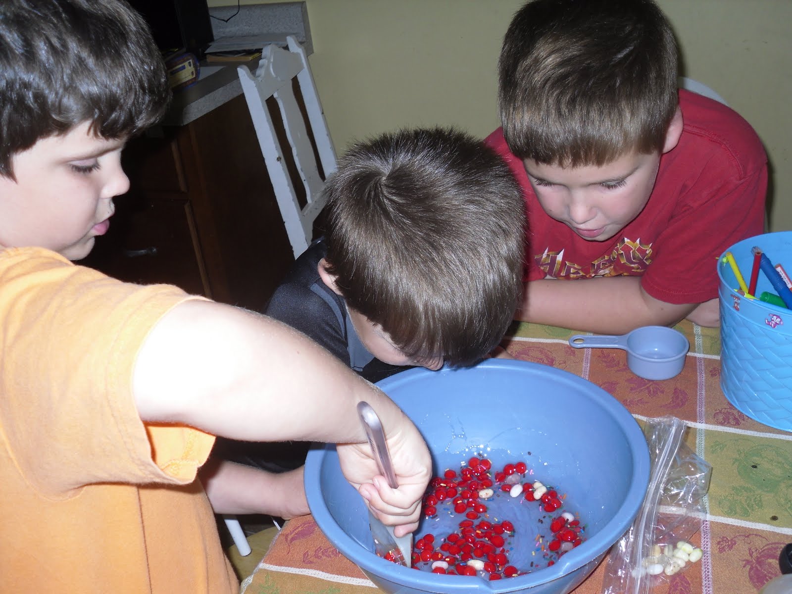 God’s Design Science