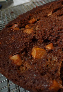 Experience(d) Collector: Hot Water Gingerbread with Persimmon