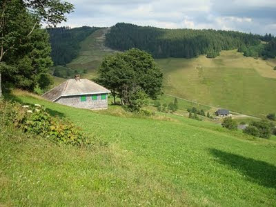 El blog de Juan Izquierdo: La cabaña de Heidegger: "Un espacio para pensar"