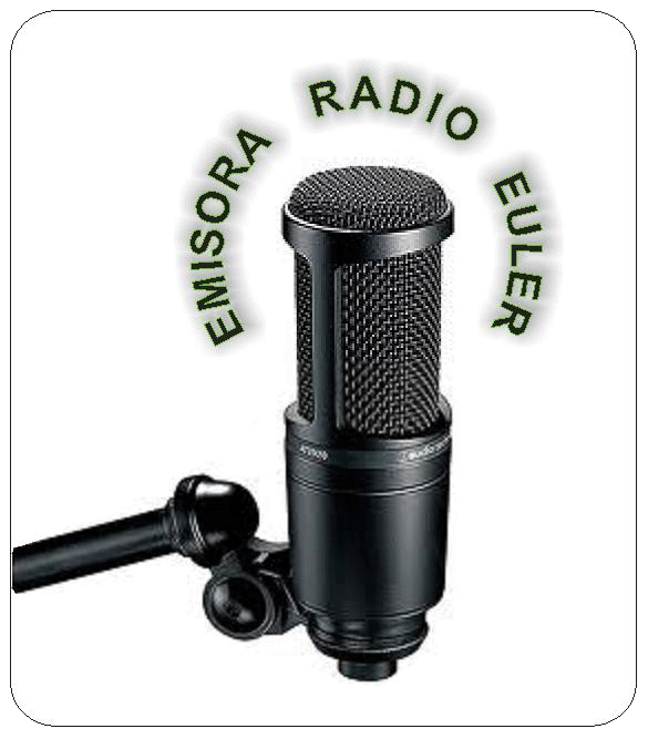 RadioEuler: RadioEuler