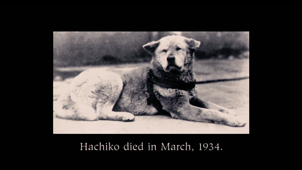 QhaSsEiH: Hachiko