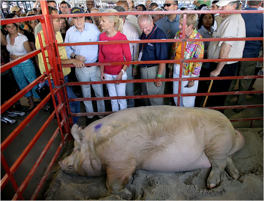Real Life: Iowa State Fair
