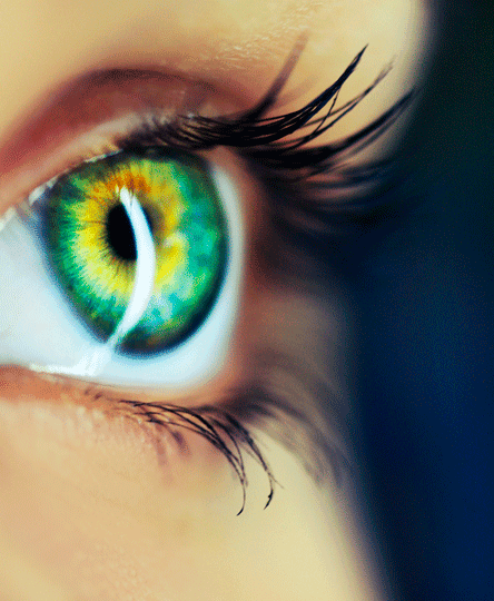 Amazing Macro Eye Photography | Design Inspiration | PSD Collector