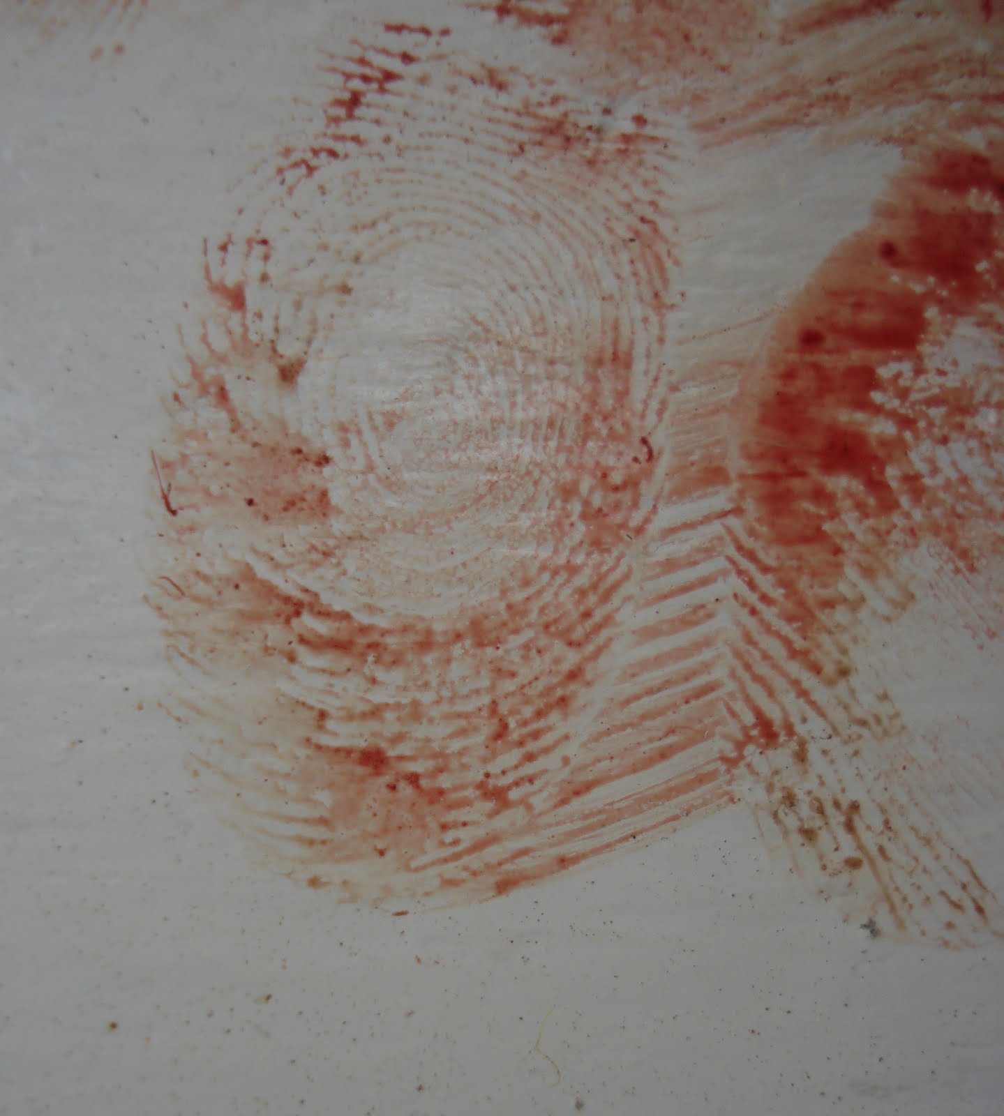 Ciencia Criminalística: Papiloscopía